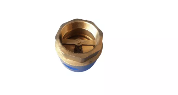 Luppe lò xo 60mm thau (DN50) - Không kèm lưới