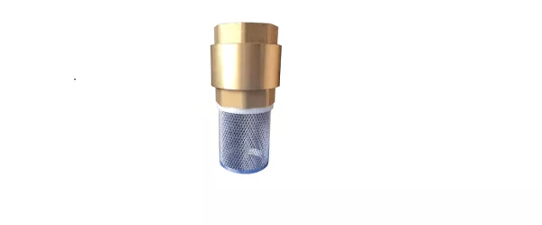 Luppe lò xo 60mm thau lưới inox (DN50) - van 1 chiều lò xo nệm đồng